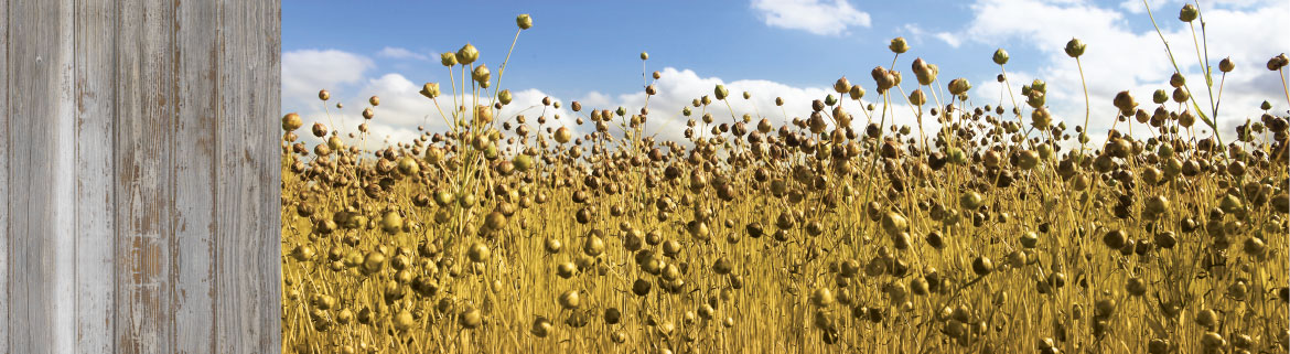 Canada Flax Products - Manitoba Milling Company